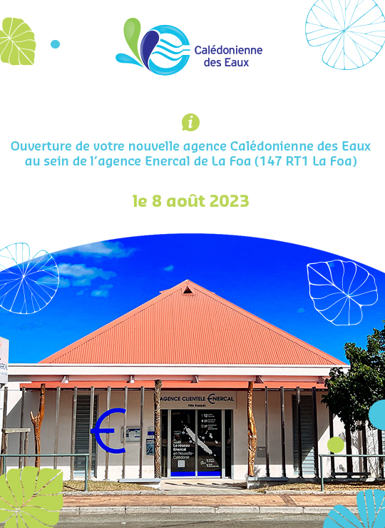 Calédonienne Des Eaux Production Et Distribution D Eau Potable Nc